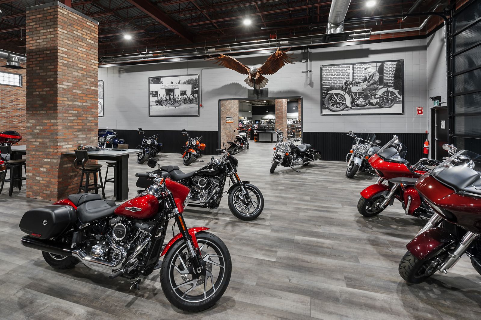 Harley Eagle | Sculpture by Kevin Stone