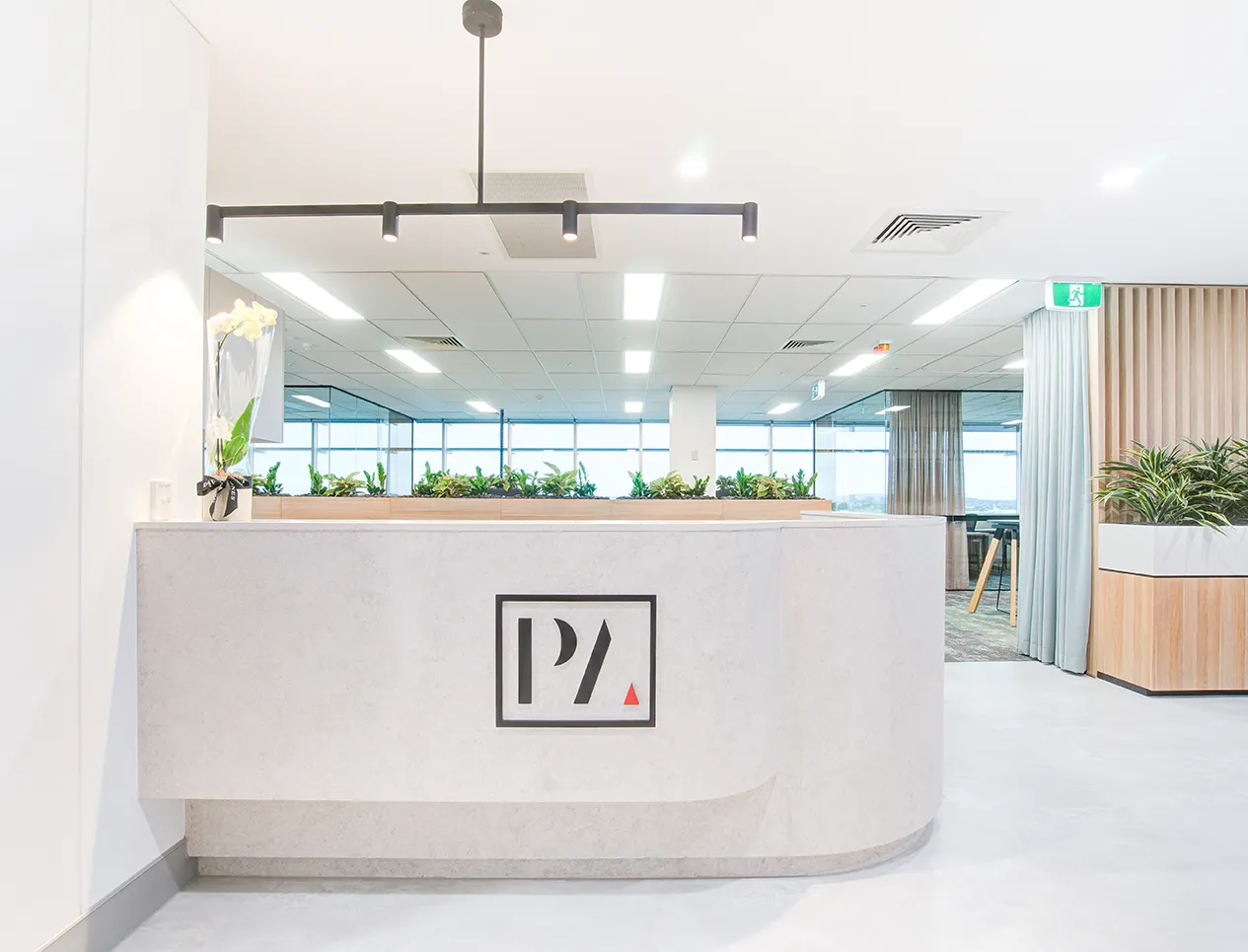 What We Do | Pluta Accountants