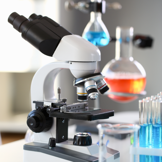 Light Tree Ventures - Unleash The Power Of Light