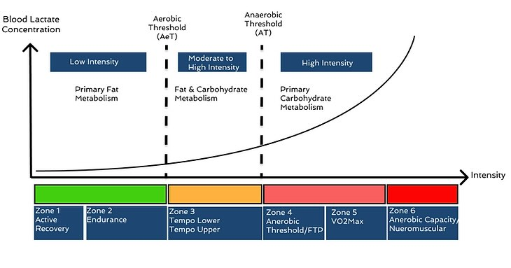Data-Driven Personal Training