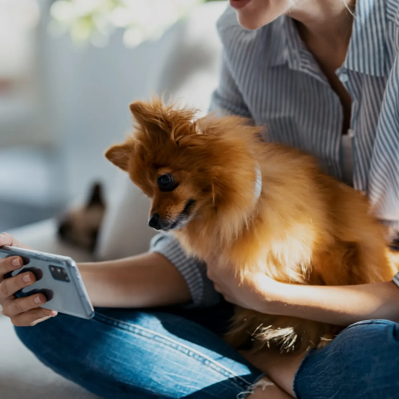 Atlar Customers | Modern finance teams choose Atlar