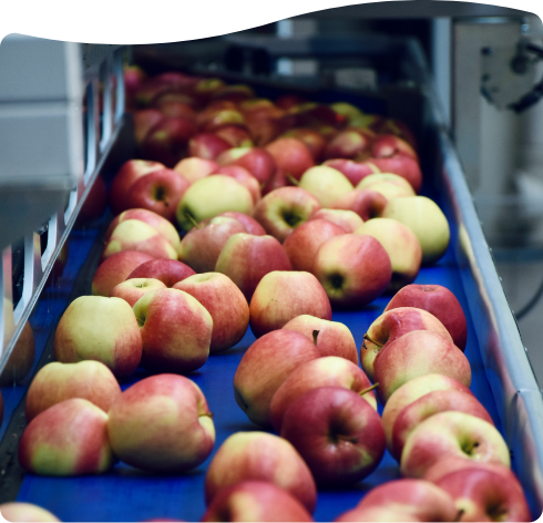 Appco – Nasze Produkty Budują Twój Sukces