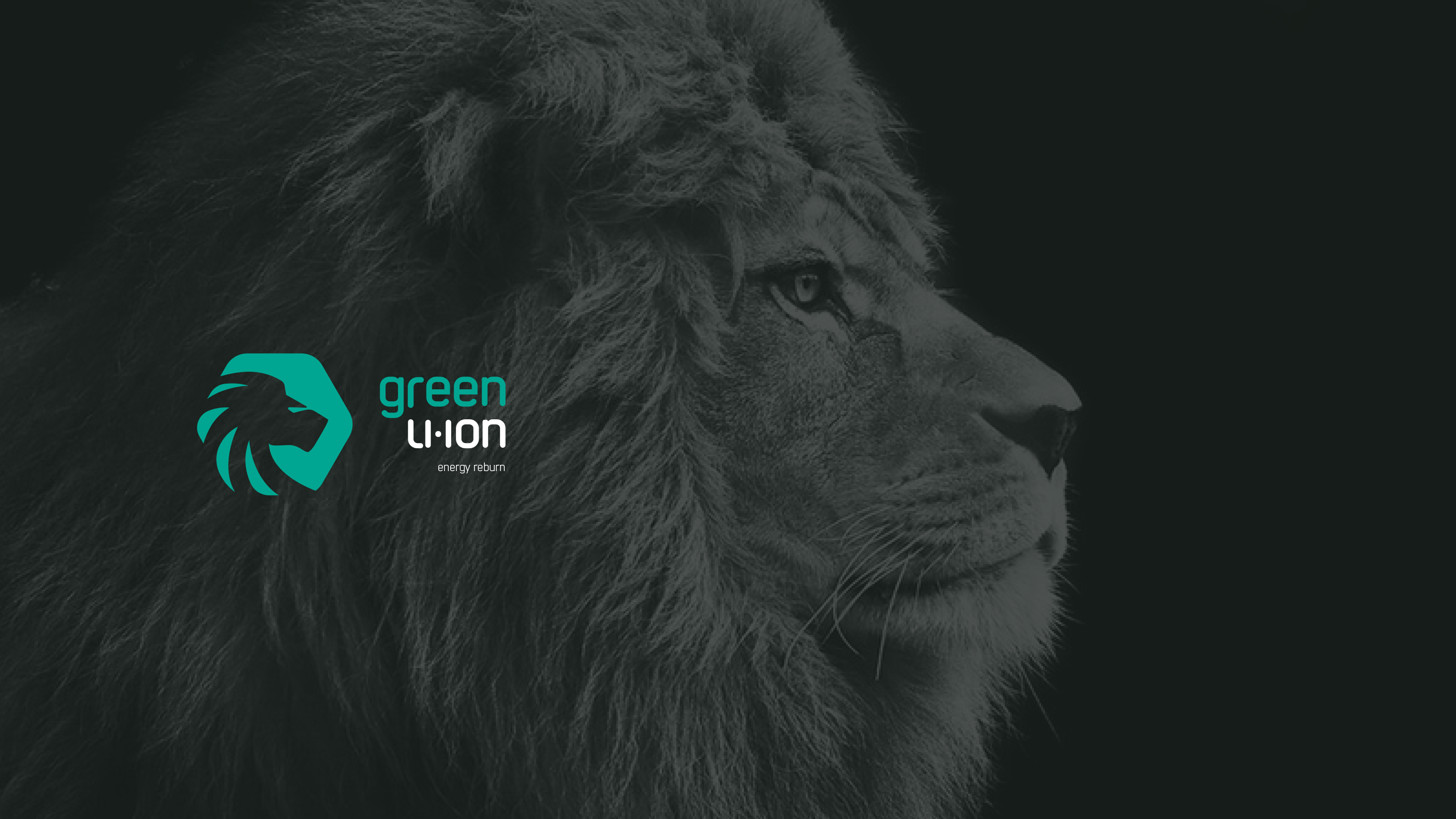 Welcome Our New Appointed Advisor to the Board of Green Li-ion - Green ...