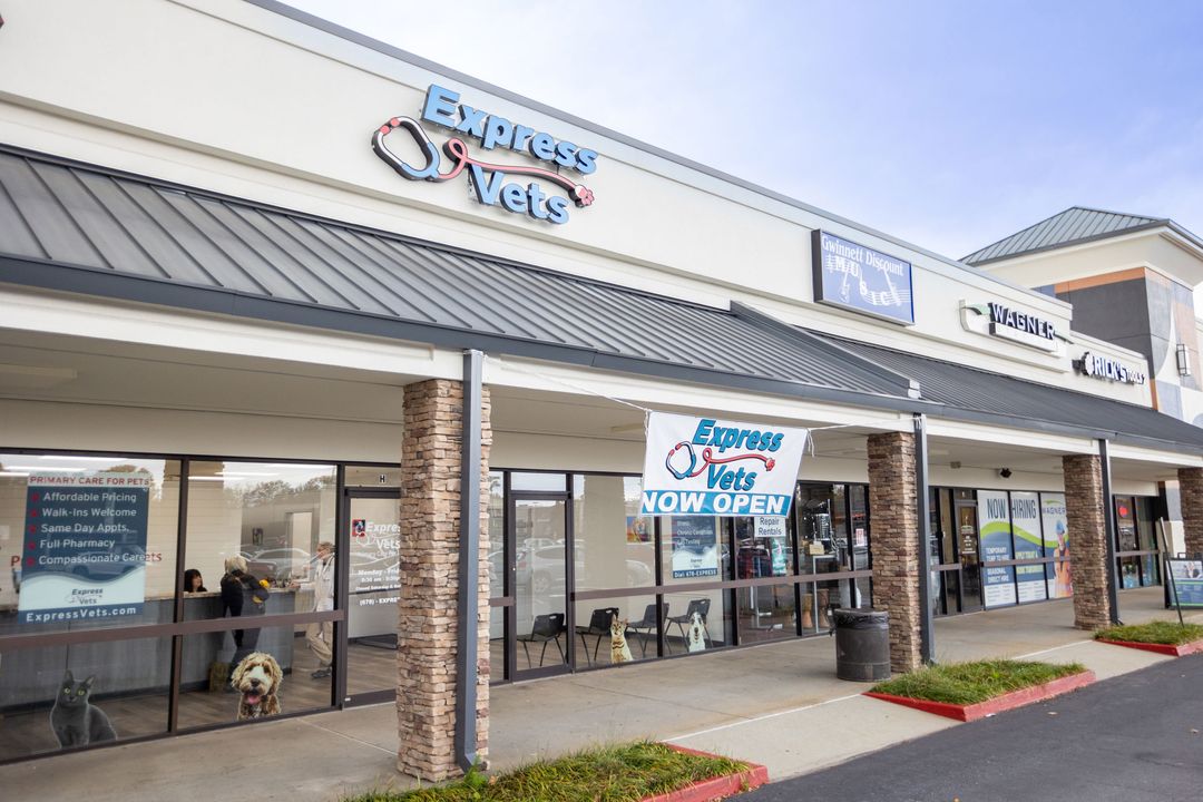 High-Quality Vet Hospital in Northern Georgia | Express Vets
