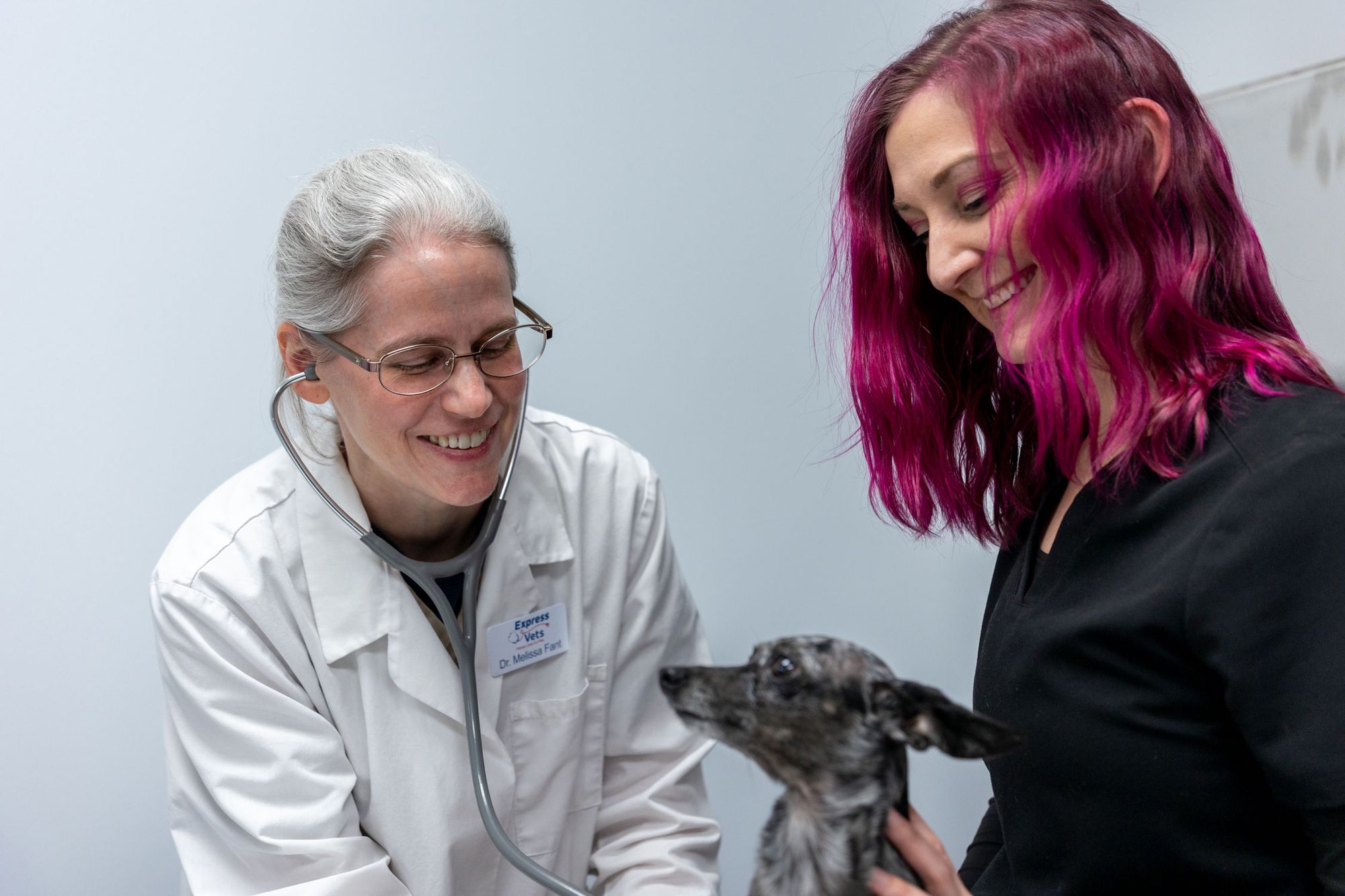 High-Quality Vet Hospital in Northern Georgia | Express Vets