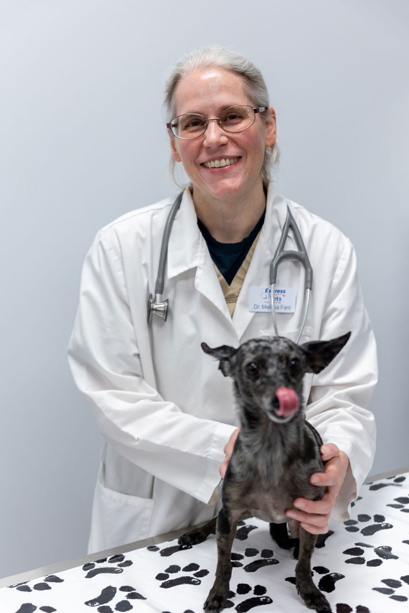 High-Quality Vet Hospital in Northern Georgia | Express Vets