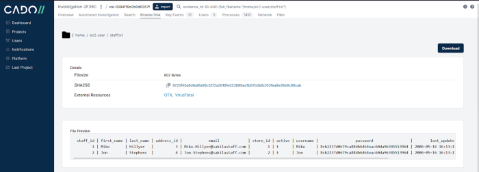 Invictus Incident Response website