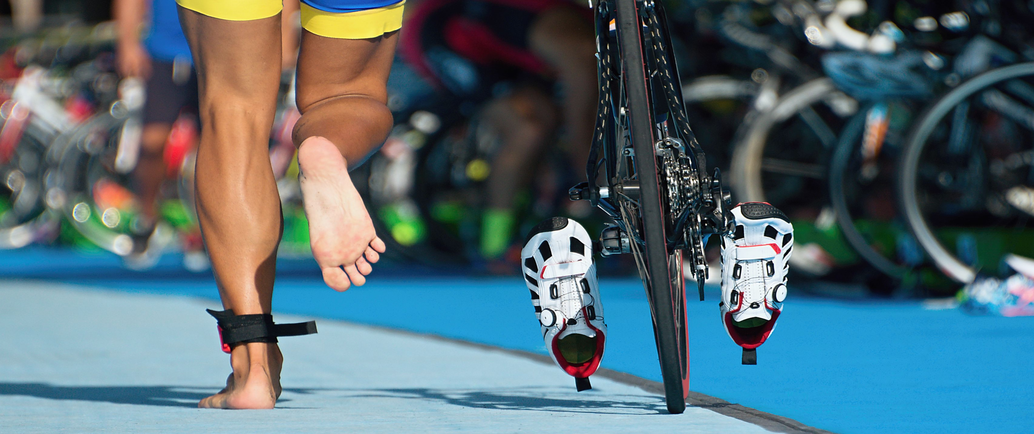 Sprint Triathlon Training Plans | Full Circle Endurance