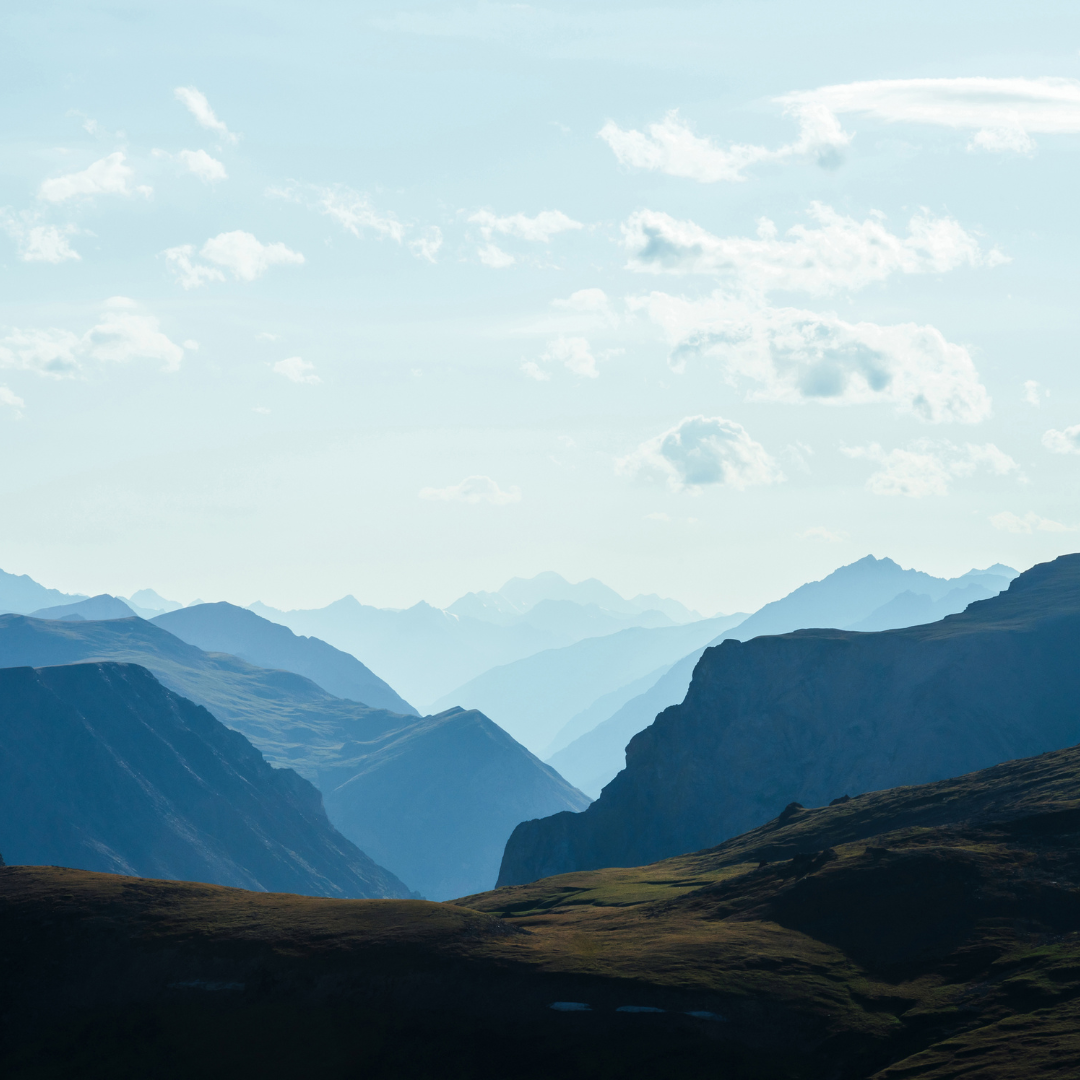 FREE Bone Foundations Course