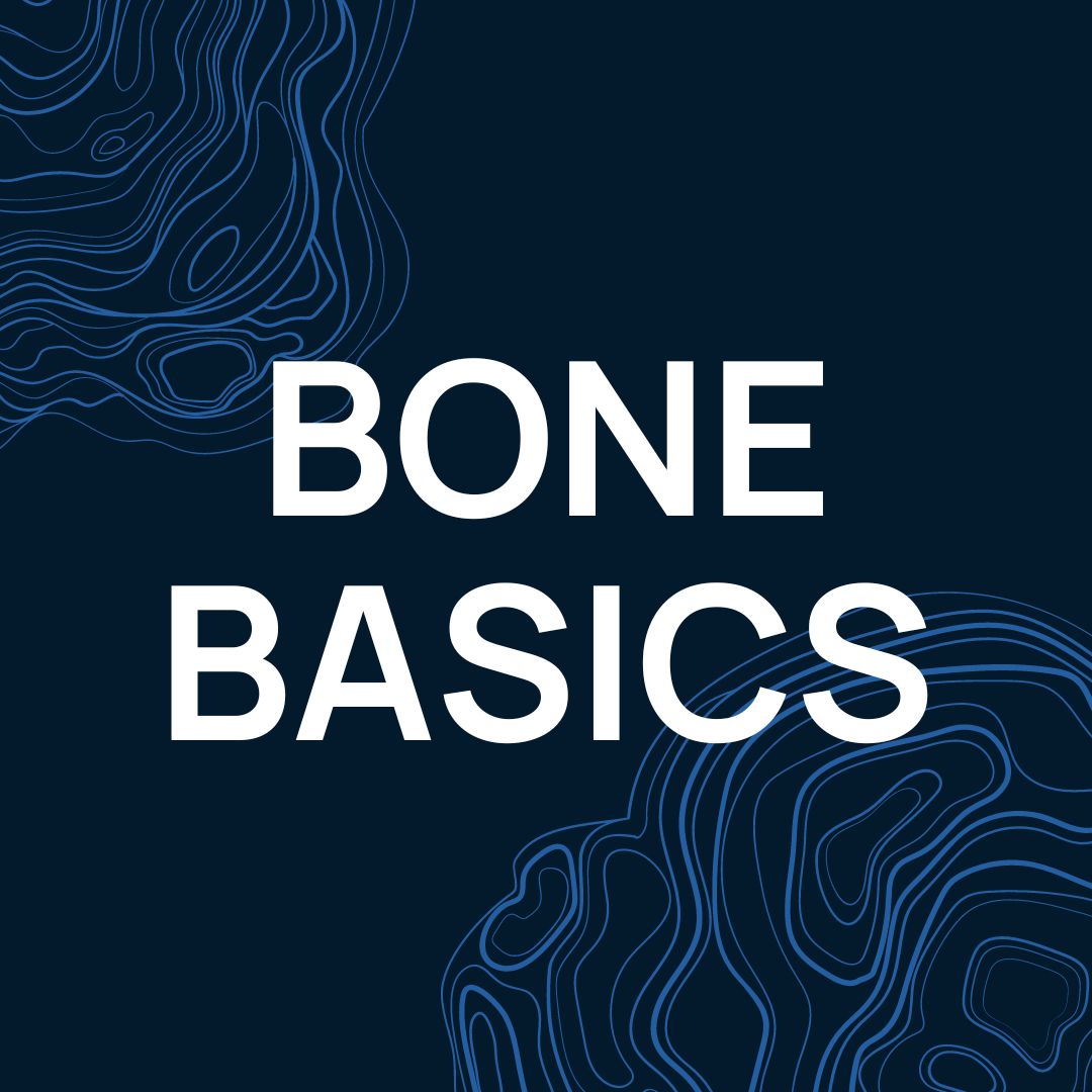 Bone Foundations Modules
