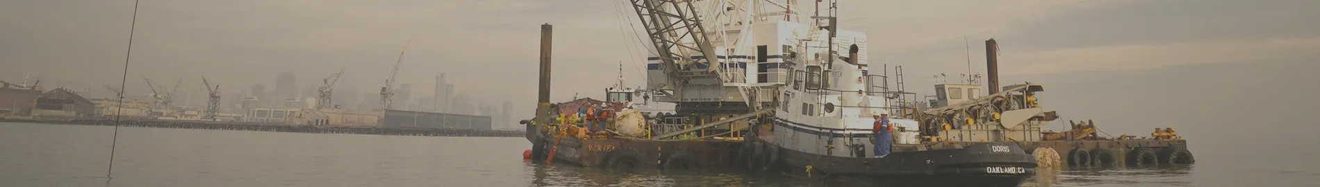 The Crossing Group - Applications - Shore Approach