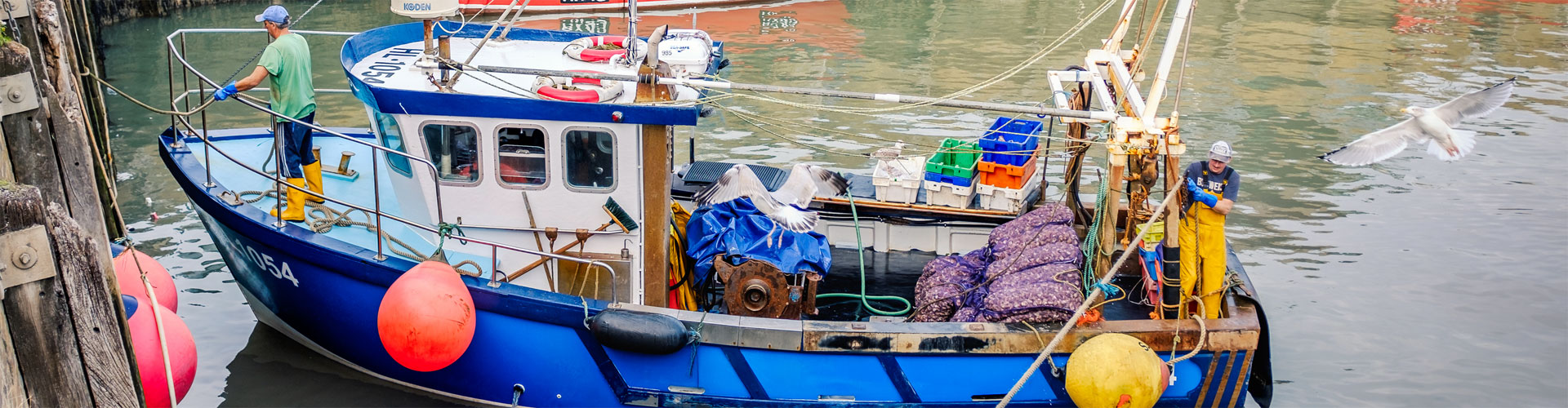 Commercial Craft Insurance - Topsail Insurance