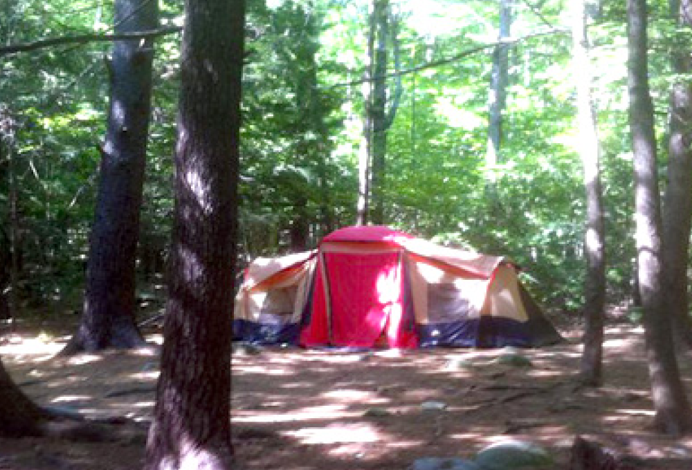 The Pines Campground