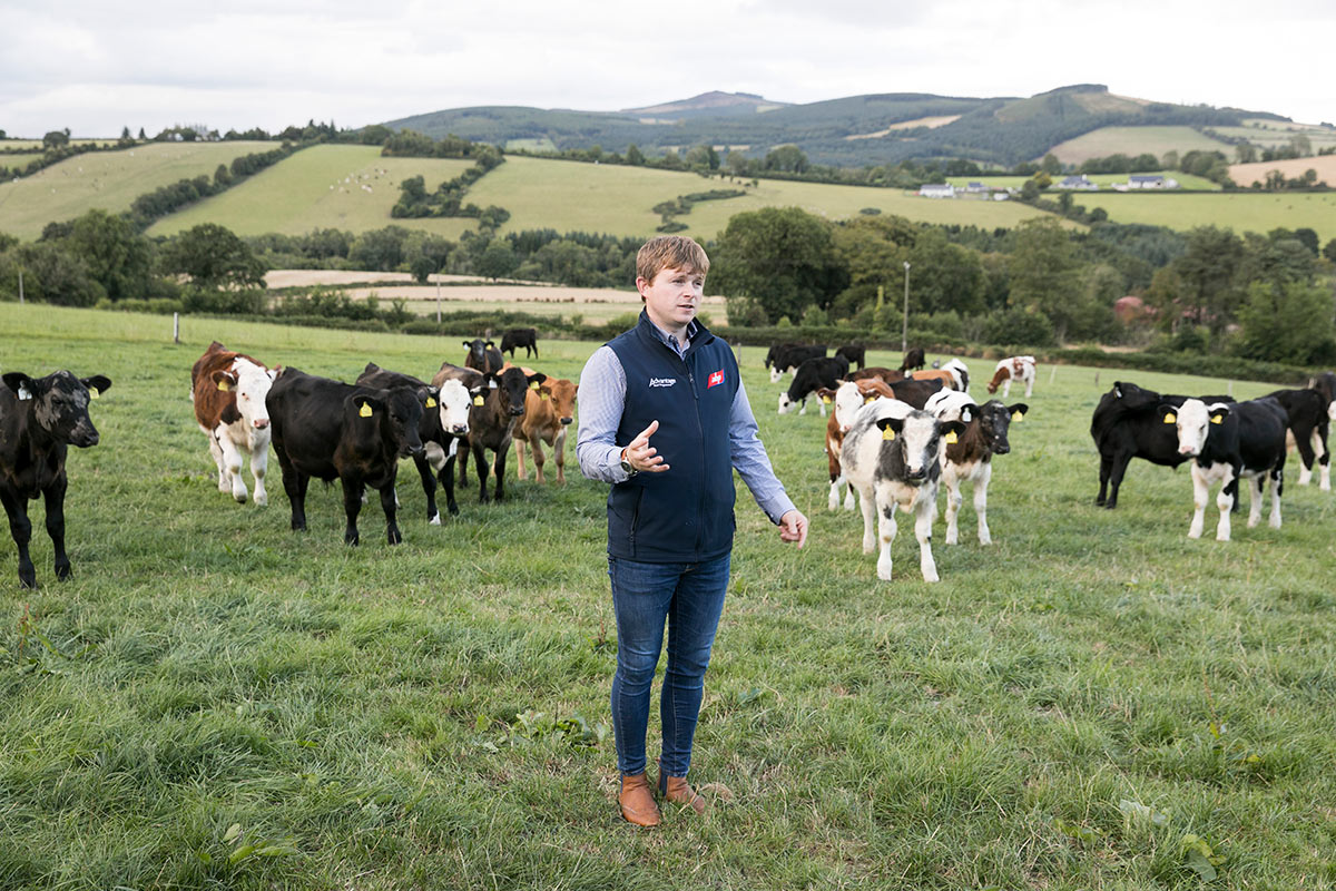 ABP Food Group | Heneghan Strategic Communications