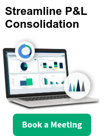 What are consolidated P&L statements? | Centage
