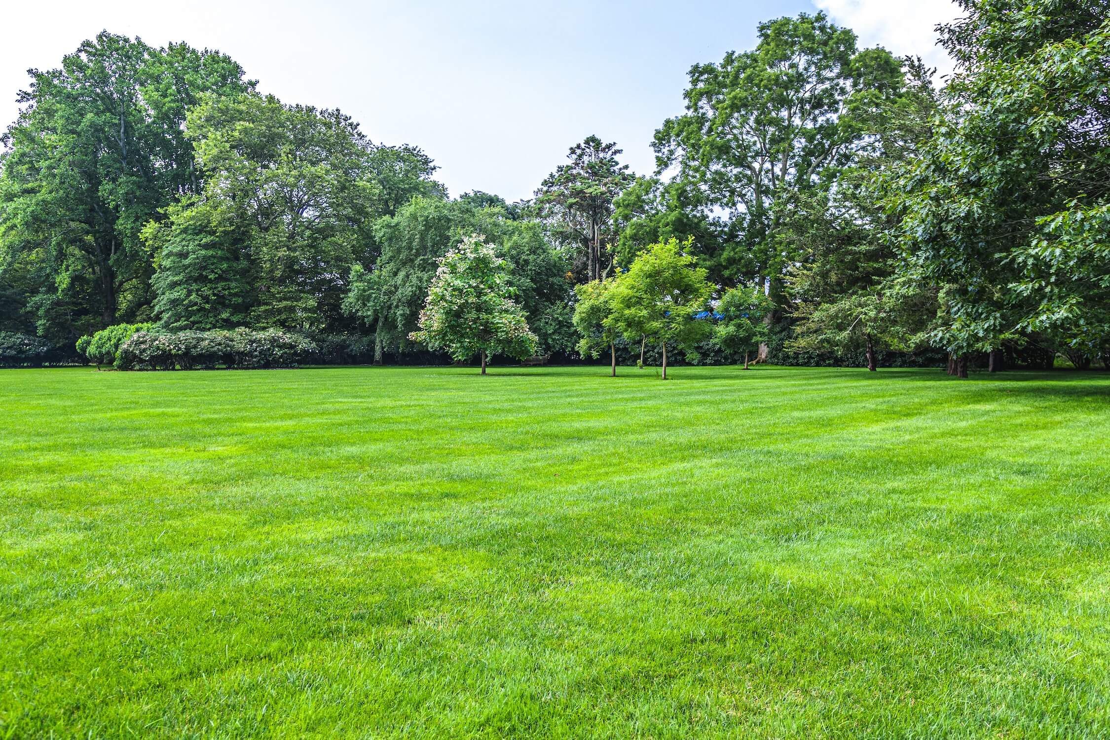 Explore our Project Gallery