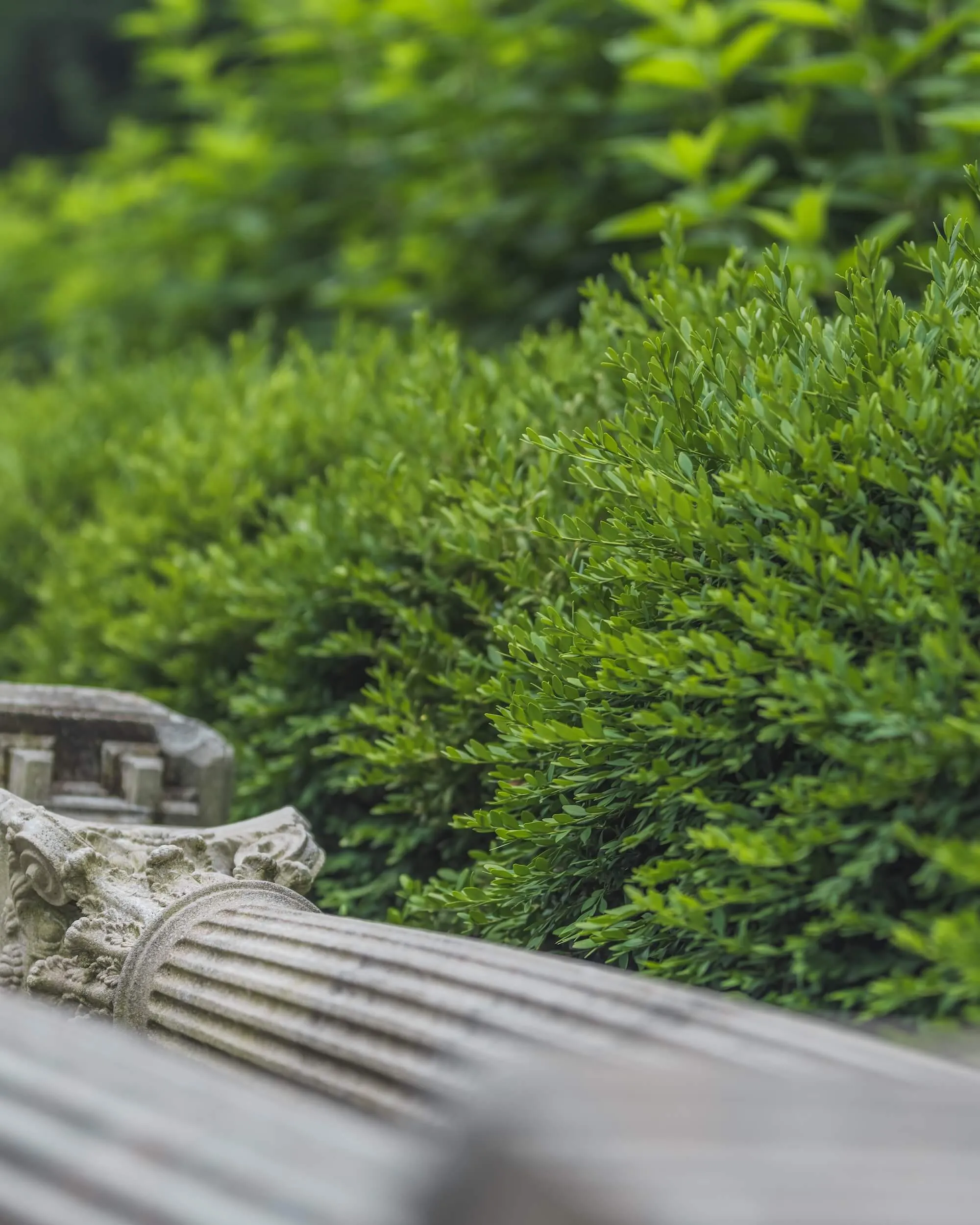 Hamptons Luxury Landscaping Project Management