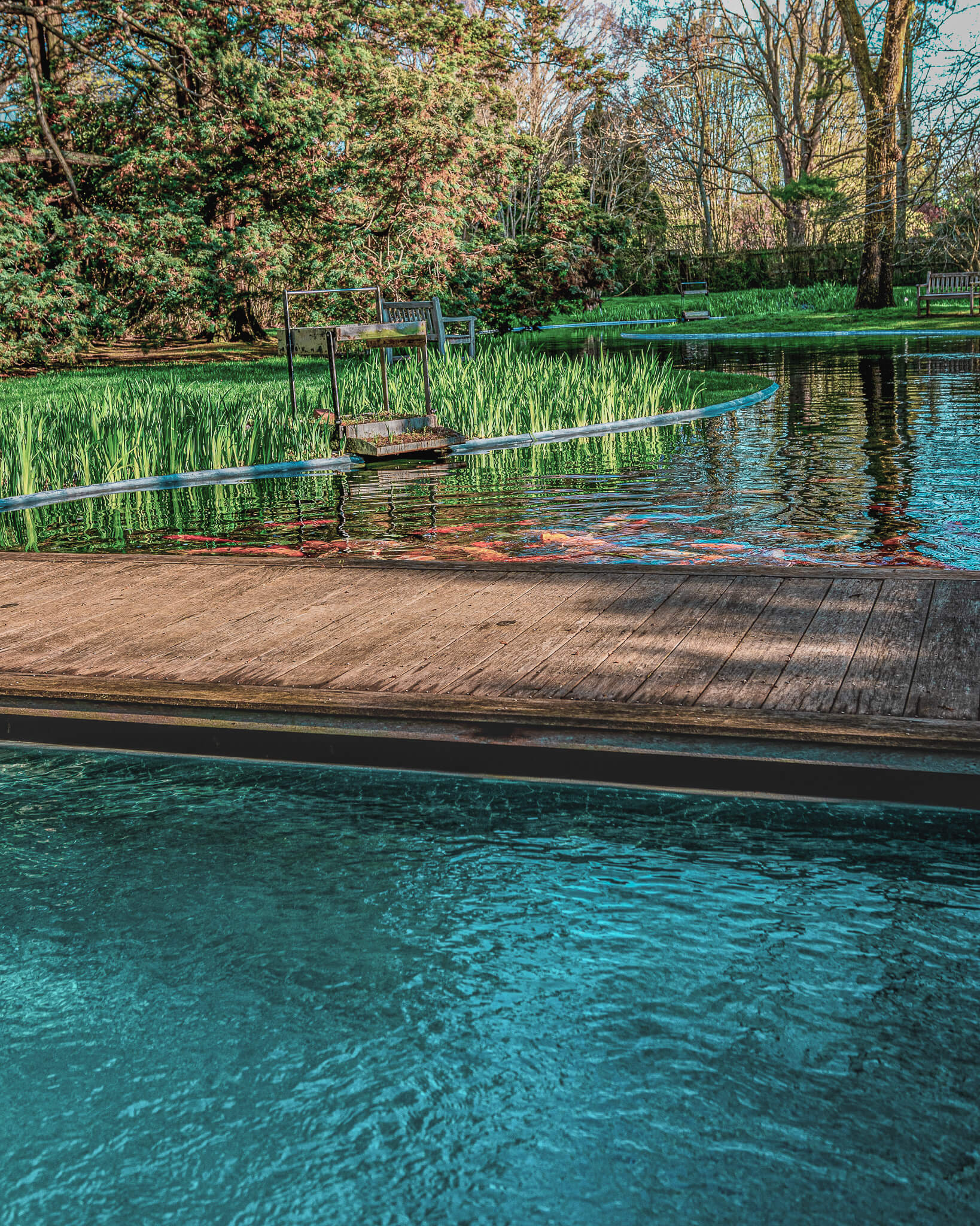Serene Landscape Water Features in the Hamptons