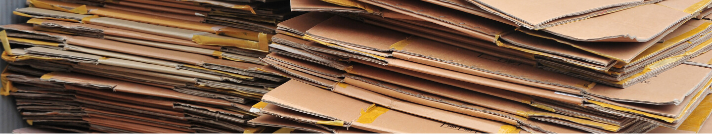 Dumpster Sizes Guide | LeMay Grays Harbor