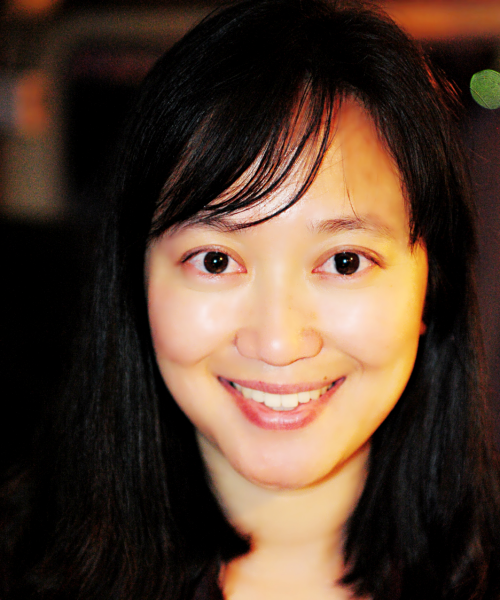 The Institute for Experiential AI - Northeastern University | Faculty