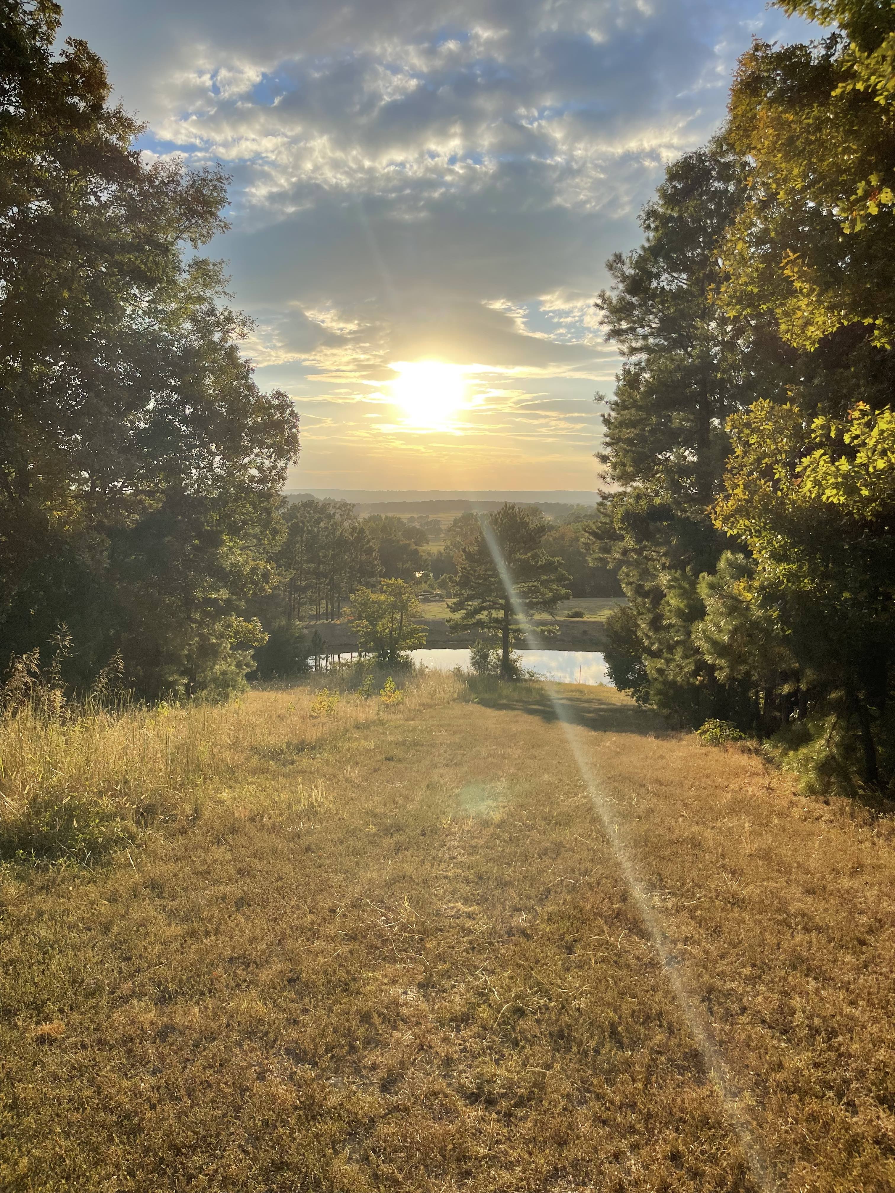 CTL Distillery | Premium Small-Batch Brandy