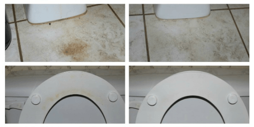 Splash Spray | All-Purpose Cleaning | Freshly Scented