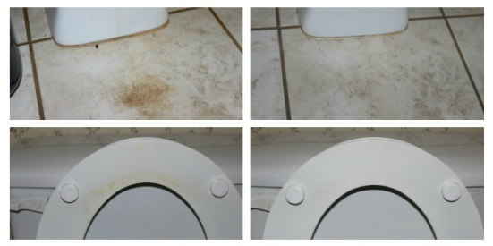 Splash Spray | All-Purpose Cleaning | Freshly Scented