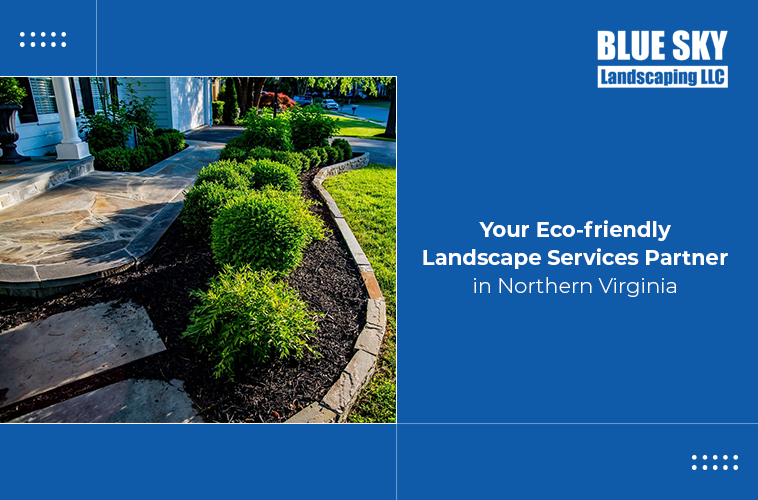 Blue Sky Landscaping