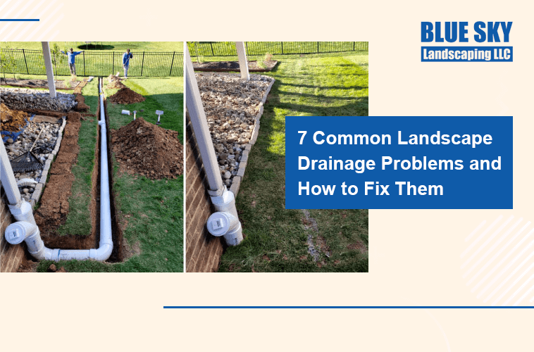 Blue Sky Landscaping