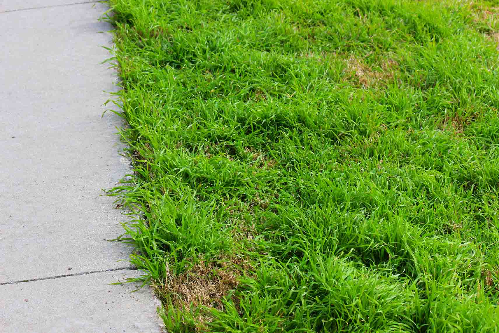 Blue Sky Landscaping