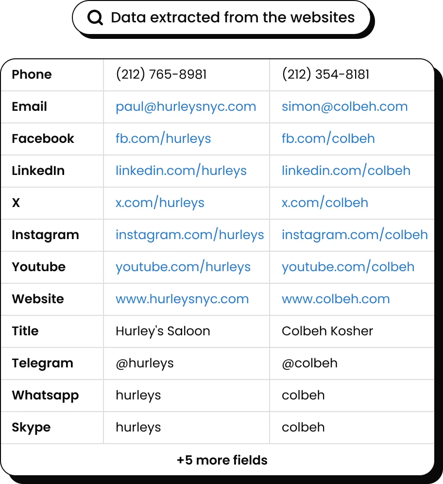 Domain Email Extractor | Leads-Sniper