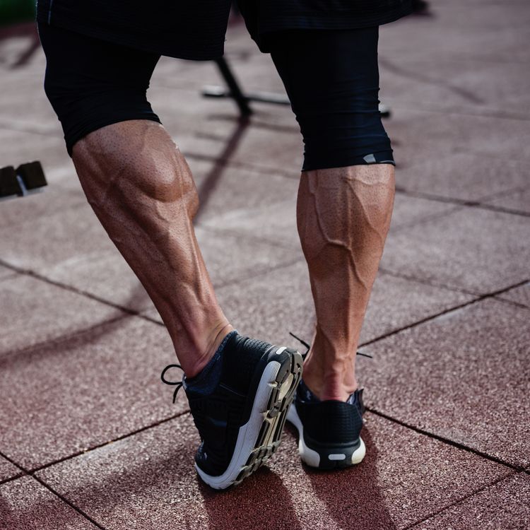 Understanding and Training Your Calf Muscles: A Comprehensive Guide