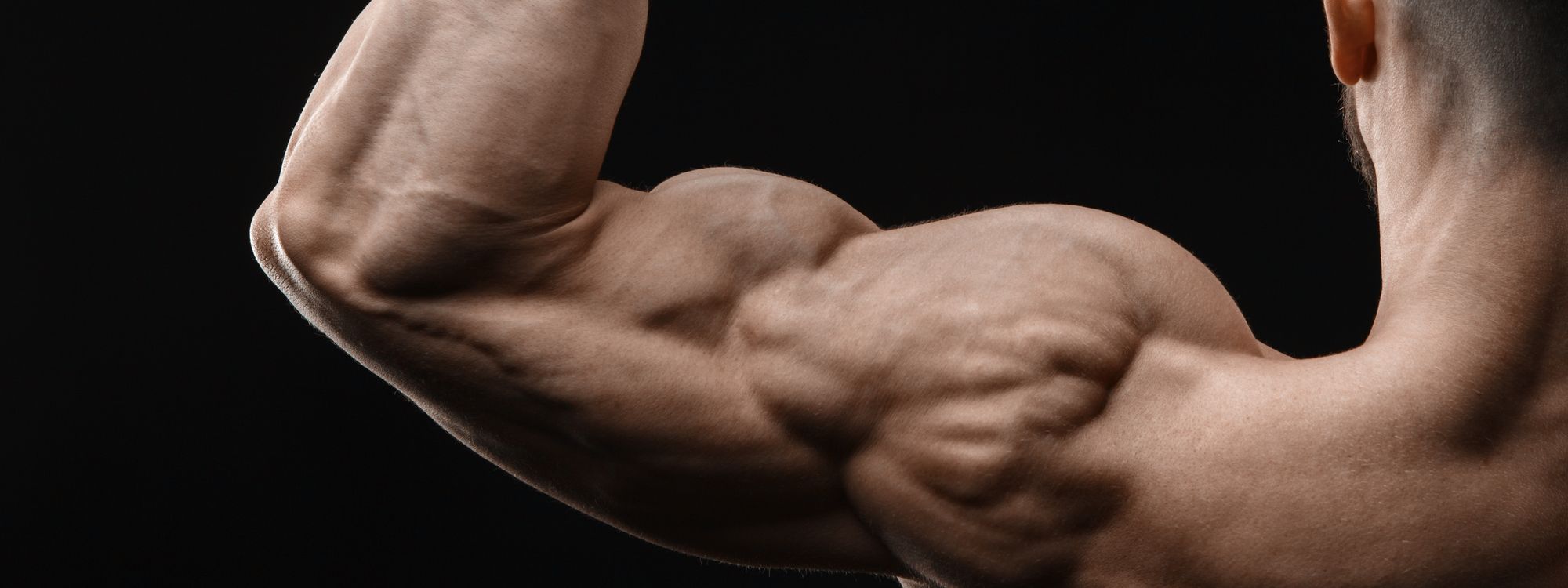 Shoulder Training: Understanding the Deltoid Muscle