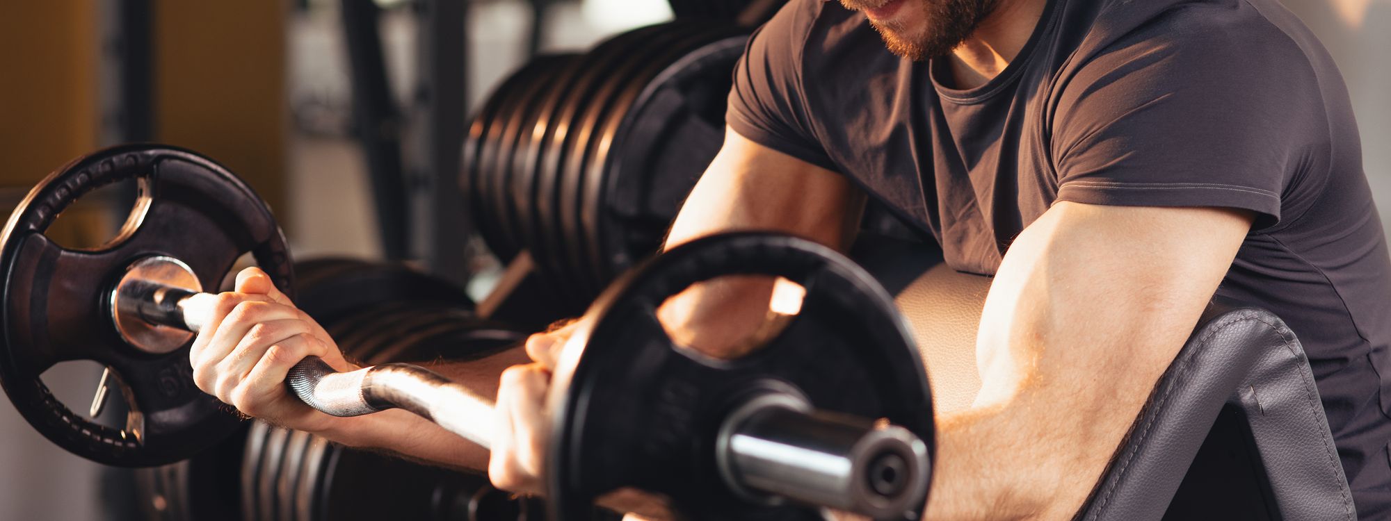 Biceps Training: Anatomy, Functions, and Exercises