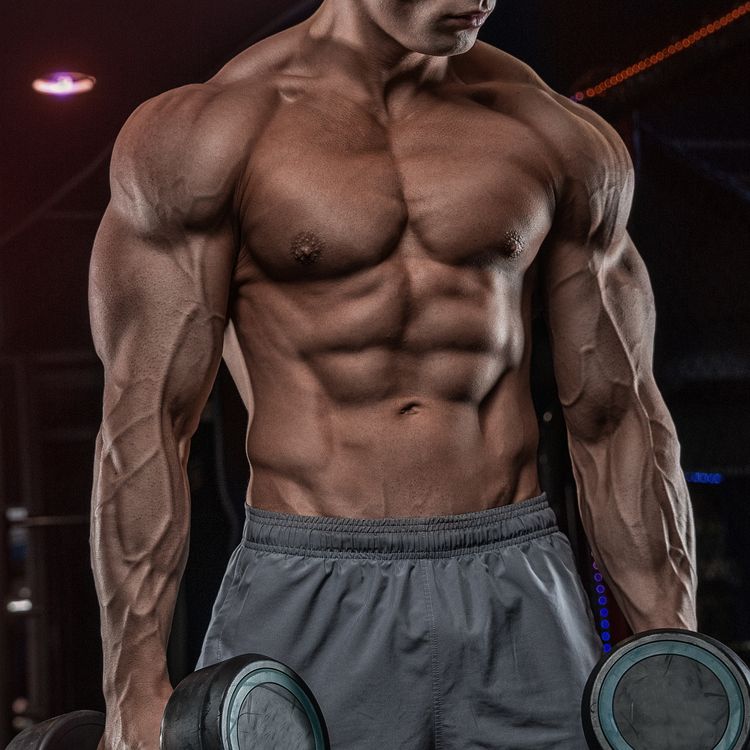 Achieving Your Ideal Abdomen: Nutrition, Training, and Beyond