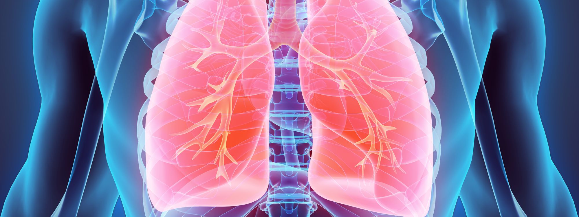 The Impact of Athletic Training on the Respiratory System