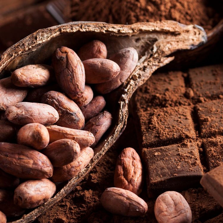 The Health Benefits of Dark Chocolate: A Nutritional Powerhouse