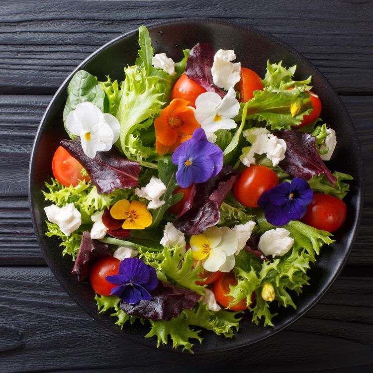 The Fascinating World of Edible Flowers