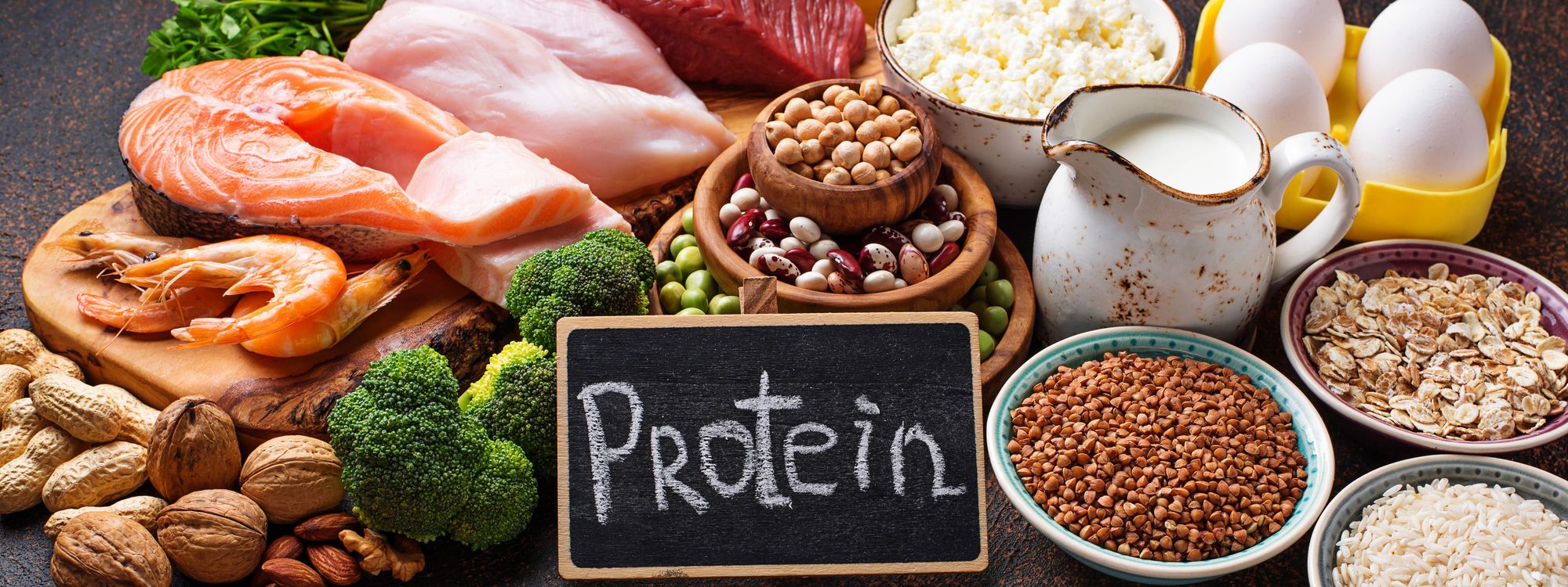 Proteins: Our Body's Bricks