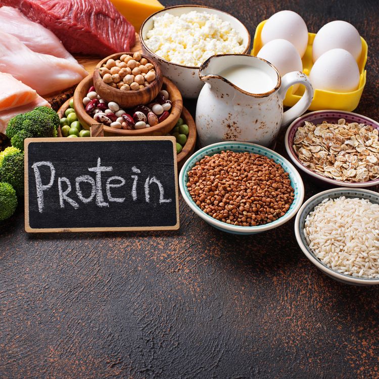 Understanding Proteins: Our Body's Bricks