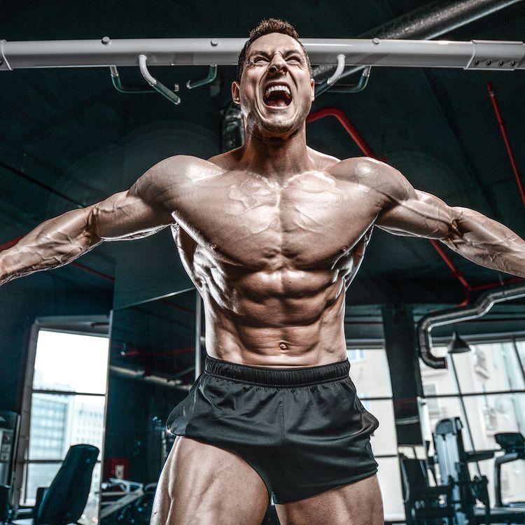 Building The Perfect Pectoral Muscles: How To Train Your Chest