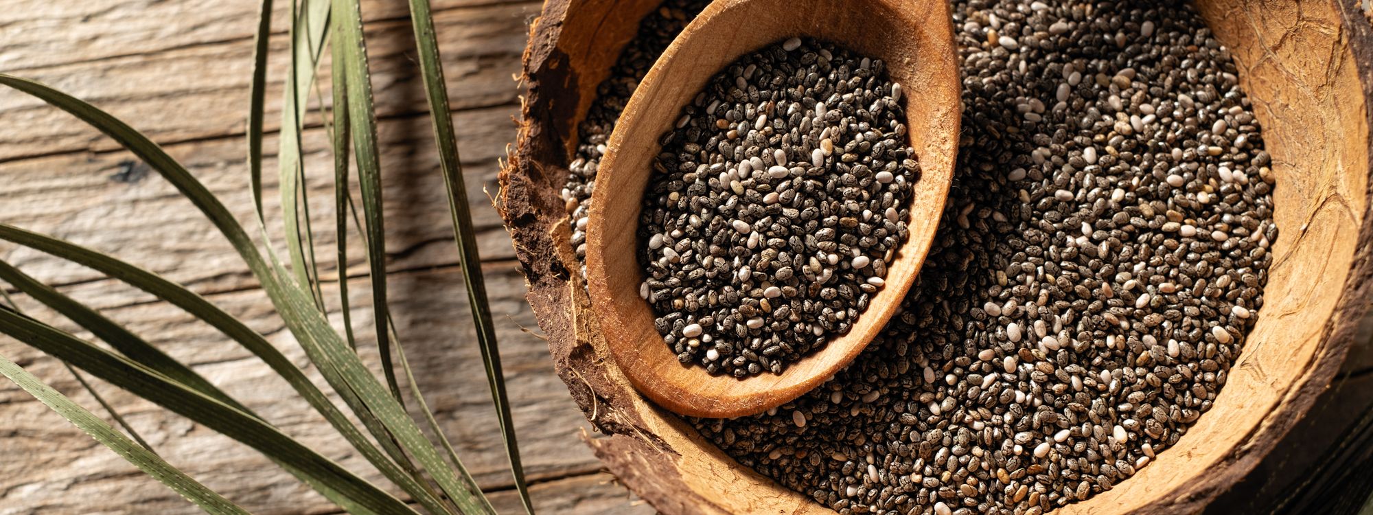 The Power Of Chia Seeds