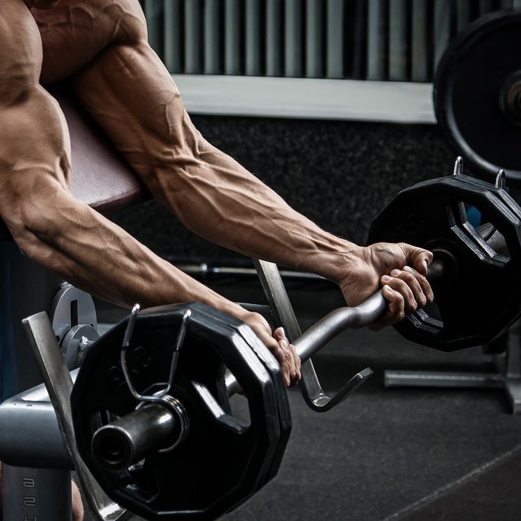 The Art and Science of Biceps Curls