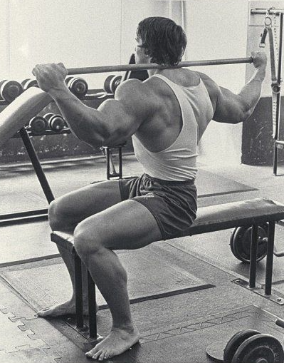 Torso Twists: Strengthening and Mobility