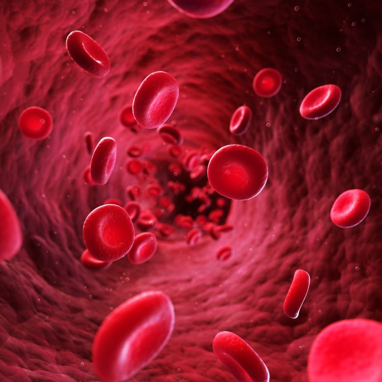 Beta-Thalassemia: Causes, Symptoms, and Treatment of Mediterranean Anemia