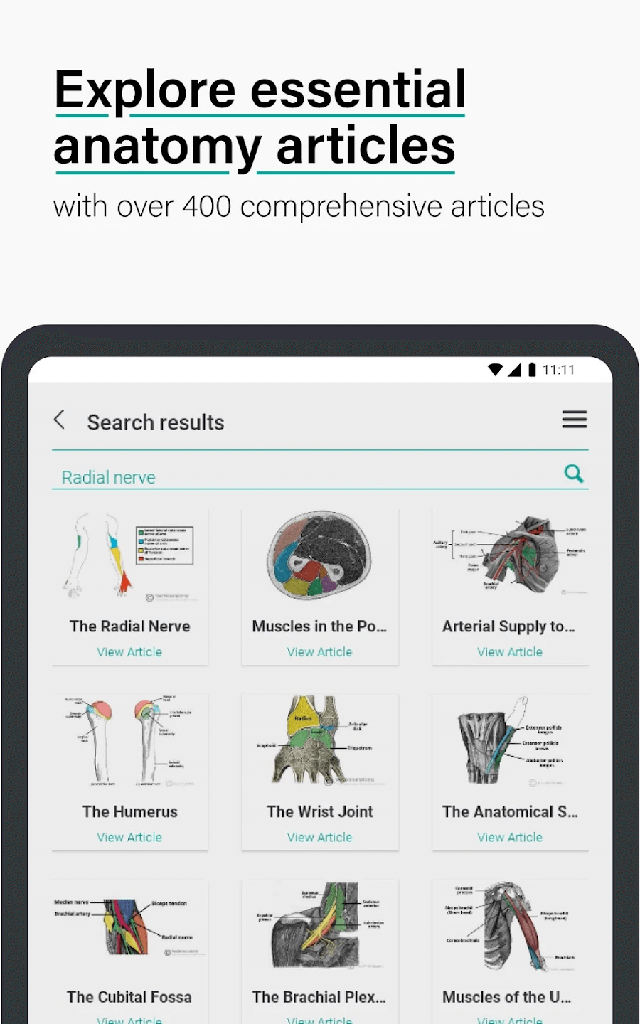 9 Best Anatomy Apps in 2024