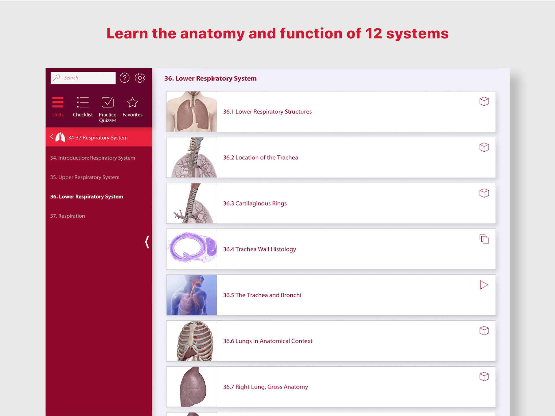 9 Best Anatomy Apps in 2024