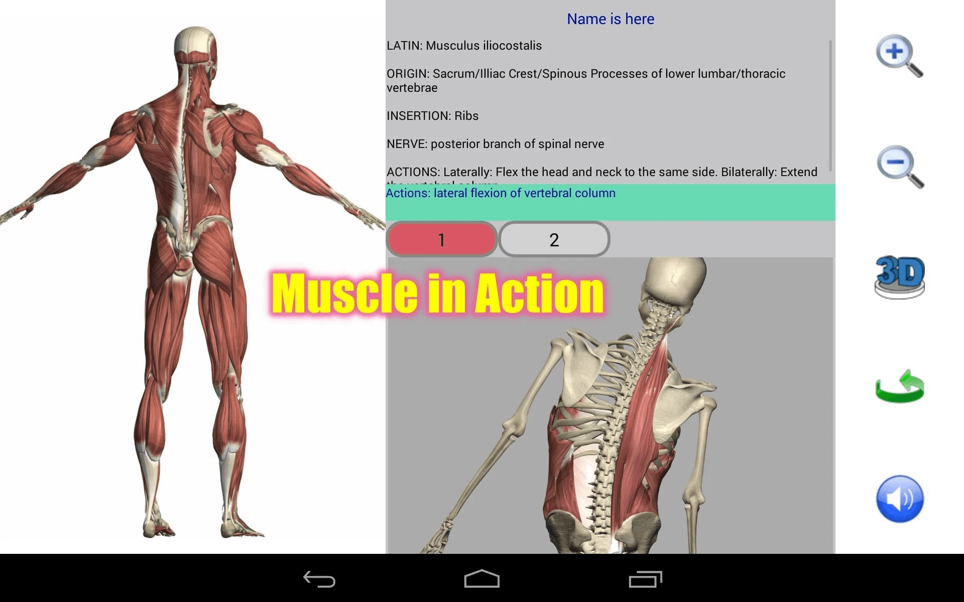 9 Best Anatomy Apps in 2024