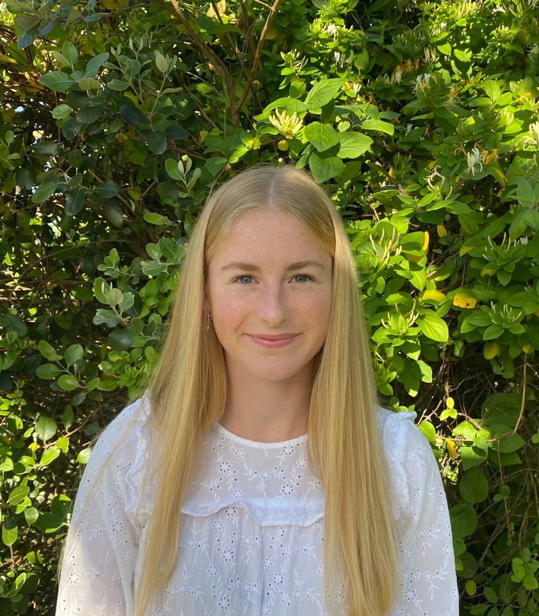 Wechsler Preschool and Primary Scale Of Intelligence (WPPSI) & Example ...