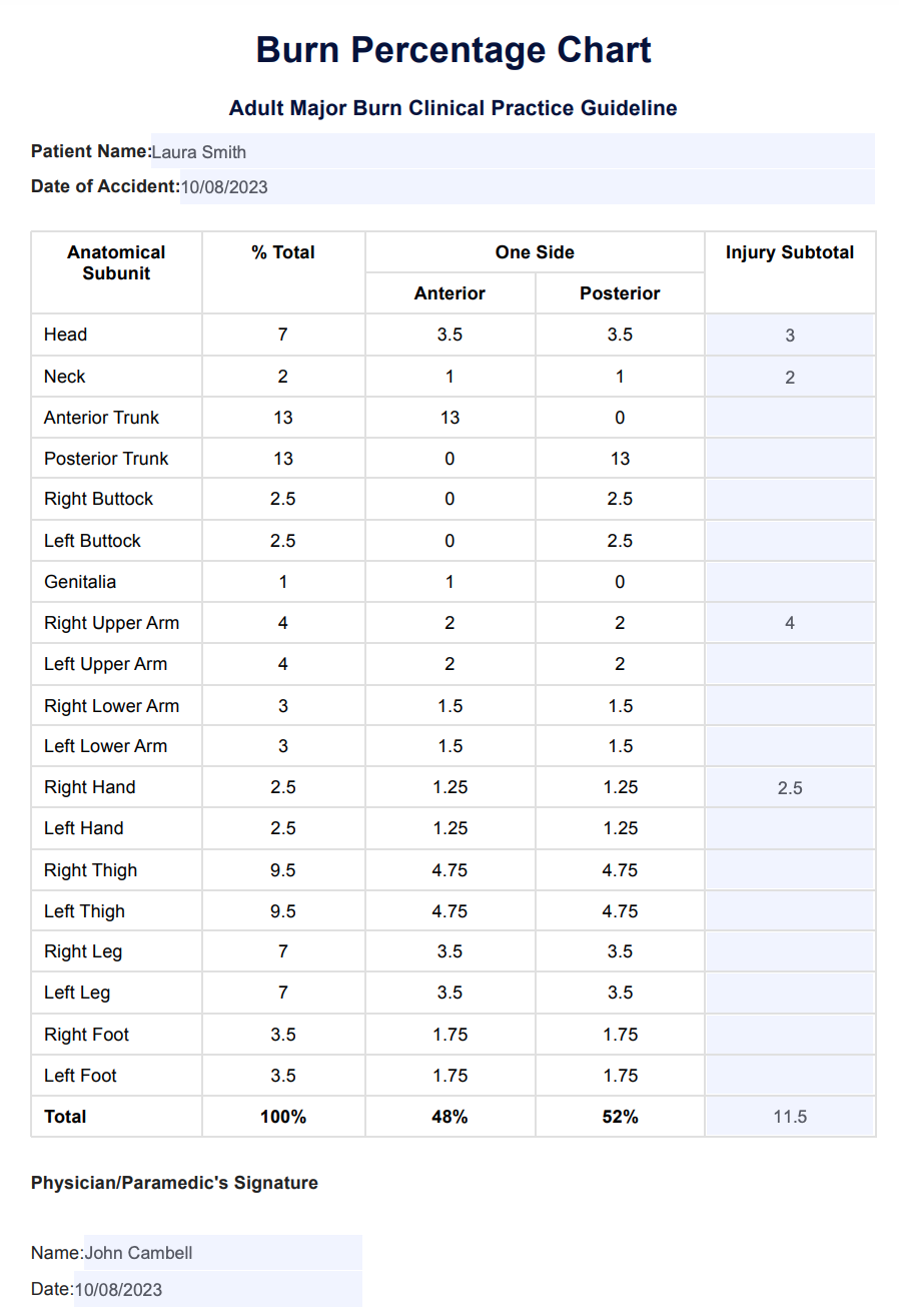 Burn Percentage Chart Template & Example | Free PDF Download